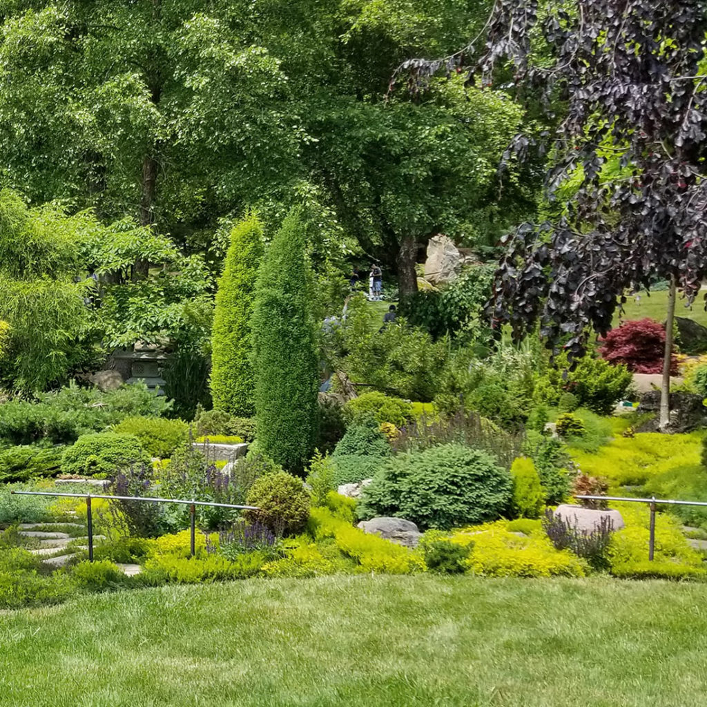 Schnormeier Gardens | Plant Collection