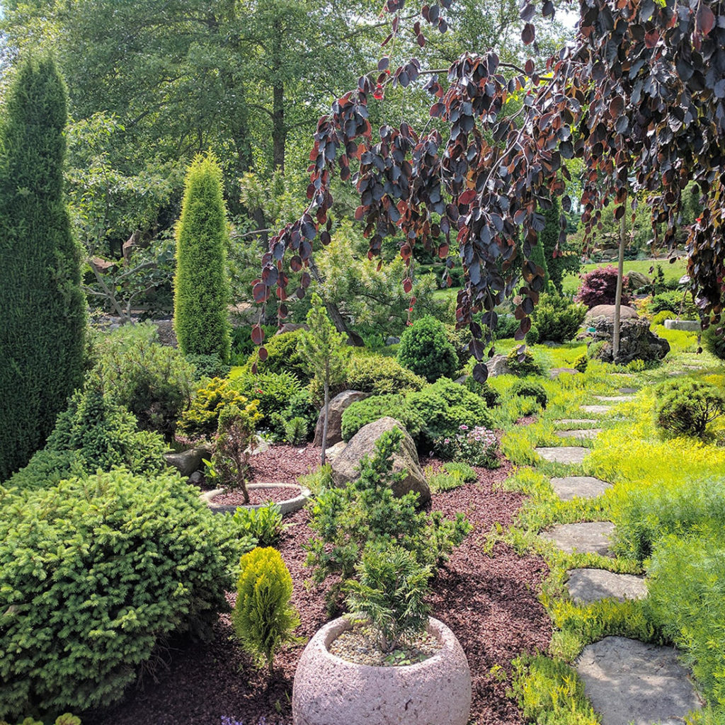 Schnormeier Gardens | Plant Collection