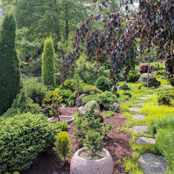 Schnormeier Gardens | Plant Collection