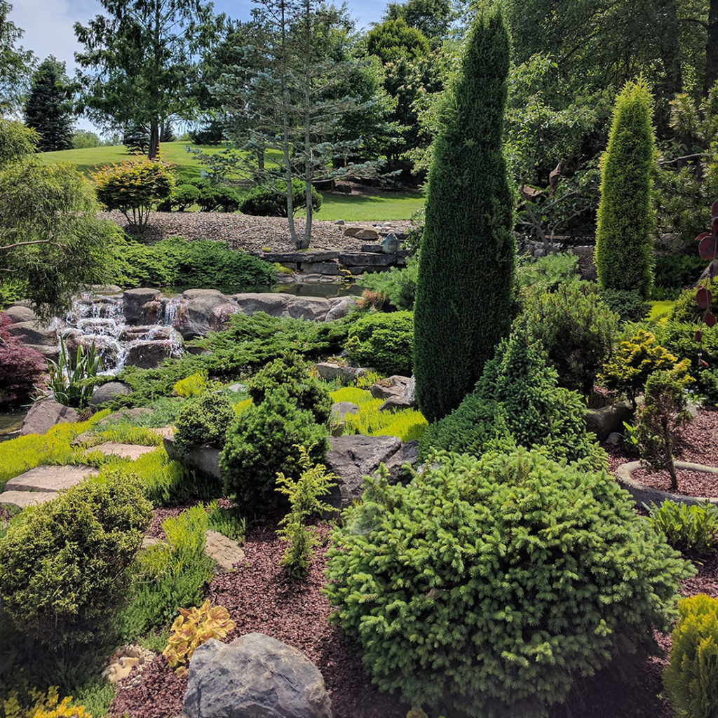 Schnormeier Gardens | Plant Collection